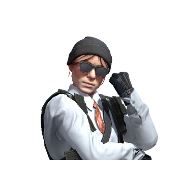 出逃的萨莉 | 专业人士 — CS:GO/CS2皮肤 — CS.MONEY维基