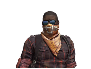 CS:GO/CS2 Agents — All skins on Wiki by CS.MONEY