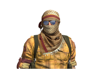 Агенты CS:GO/CS2 — Все скины на CS.MONEY Wiki
