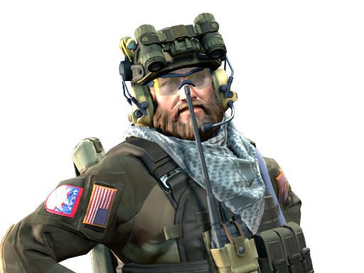 'Two Times' McCoy | USAF TACP - CS2 Skins