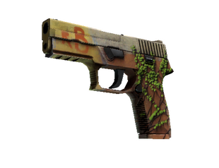All P250 skins — CS:GO Wiki by CS.MONEY