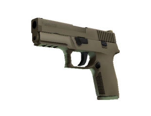 All P250 skins — CS:GO Wiki by CS.MONEY