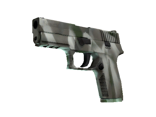 P250 Skins Price List - CS:GO LIST