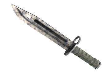 Stained ★ Bayonet skin for CSGO - Buy & Rent | Lootbear