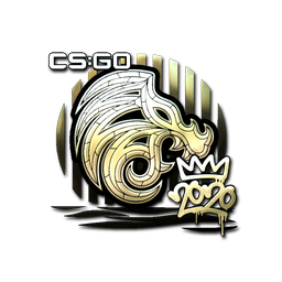 2020 RMR Stickers - CS2 Skins