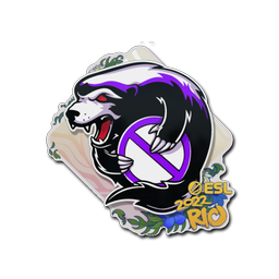 Outsiders | Rio 2022 Sticker - CS2 Skins