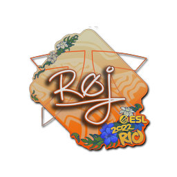 roeJ | Rio 2022 Sticker - CS2 Skins