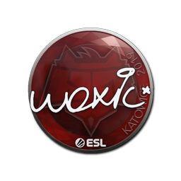 woxic | Katowice 2019 Sticker - CS2 Skins