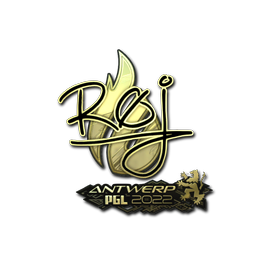 roeJ (Gold) | Antwerp 2022 Sticker - CS2 Skins