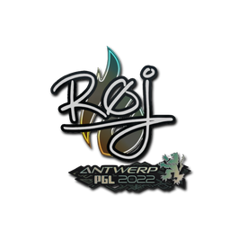 roeJ | Antwerp 2022 Sticker - CS2 Skins