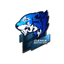 Flash Gaming (Foil) | Boston 2018 Sticker - CS2 Skins