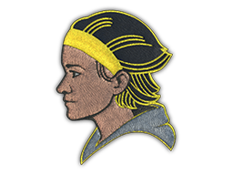 Operation Riptide Patch Collection - CS2 Skins