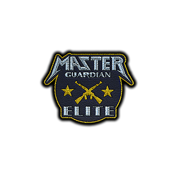 Patch | Metal Master Guardian Elite — CS:GO Wiki by CS.MONEY