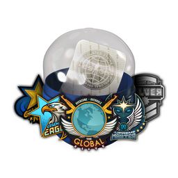 Skill Groups Capsule Stickers - CS2 Skins