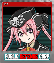 Showcase :: Public Defense Corp