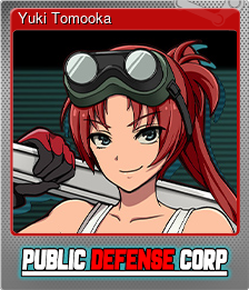 Showcase :: Public Defense Corp