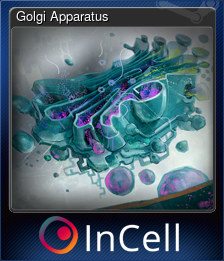 Showcase :: InCell VR