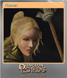 Showcase :: Dungeon Lords Steam Edition