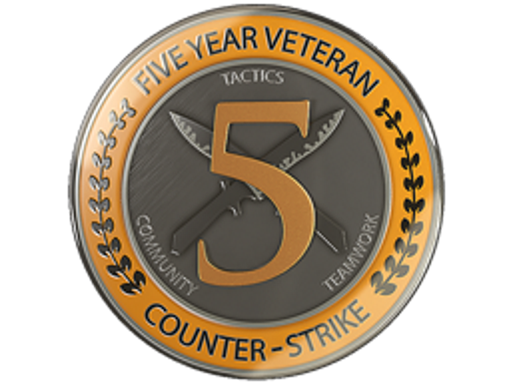 5 Year Veteran Coin | View Listings on BitSkins Market