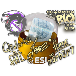 Rio 2022 Champions Autograph Capsule Stickers (CS2 & CS:GO) - Sticker ...