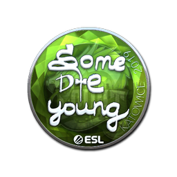 sdy (Foil) | Katowice 2019 Sticker - CS2 Skins