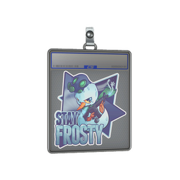 Sticker Slab | Stay Frosty - CS2 Skins