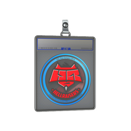 Sticker Slab | HellRaisers | Cologne 2014 - CS2 Skins