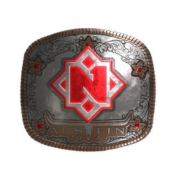 Nemiga (Foil) | Austin 2025 Sticker - CS2 Skins