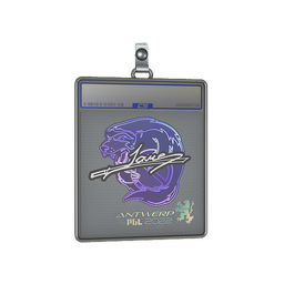 Sticker Slab | Jame | Antwerp 2022 - CS2 Skins