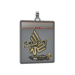 Sticker Slab | sinnopsyy (Gold) | Antwerp 2022 - CS2 Skins