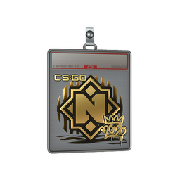 Sticker Slab | Nemiga (Gold) | 2020 RMR - CS2 Skins