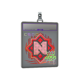 Sticker Slab | Nemiga (Holo) | 2020 RMR - CS2 Skins